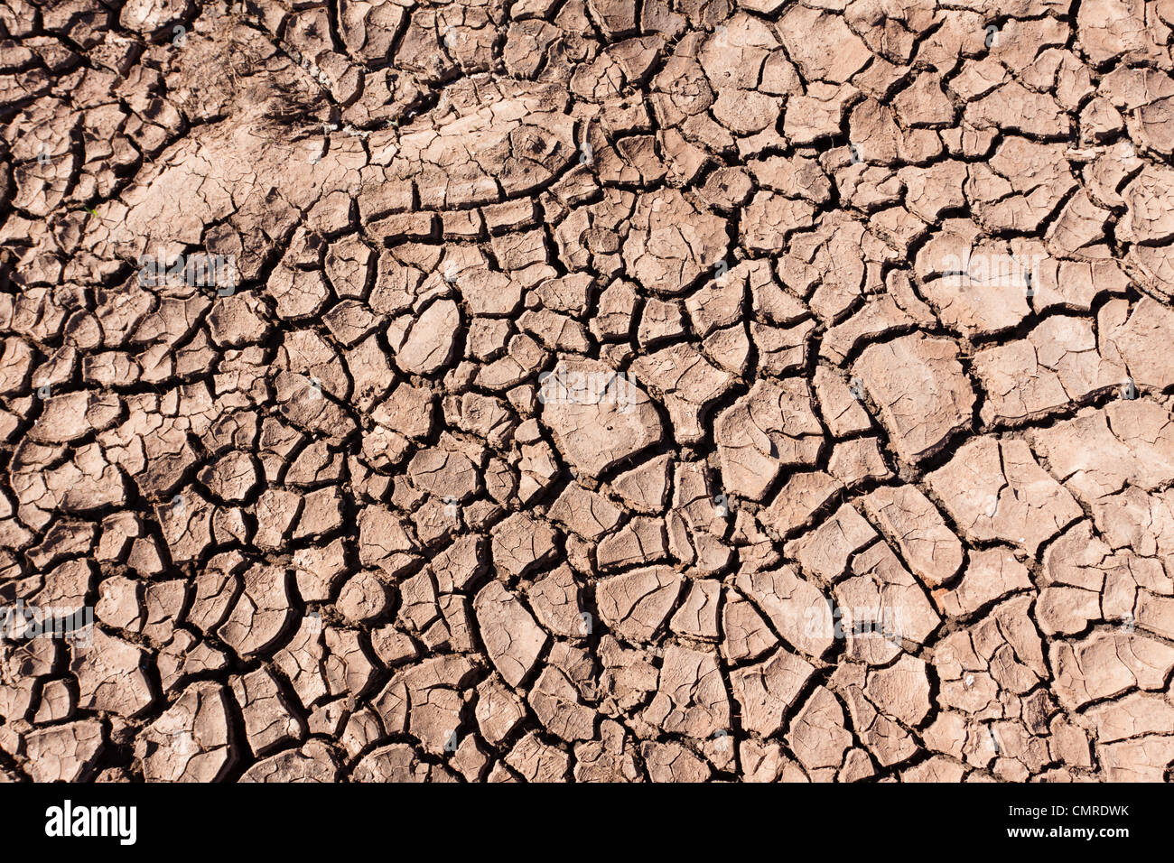 Dry cracked earth Stock Photo - Alamy