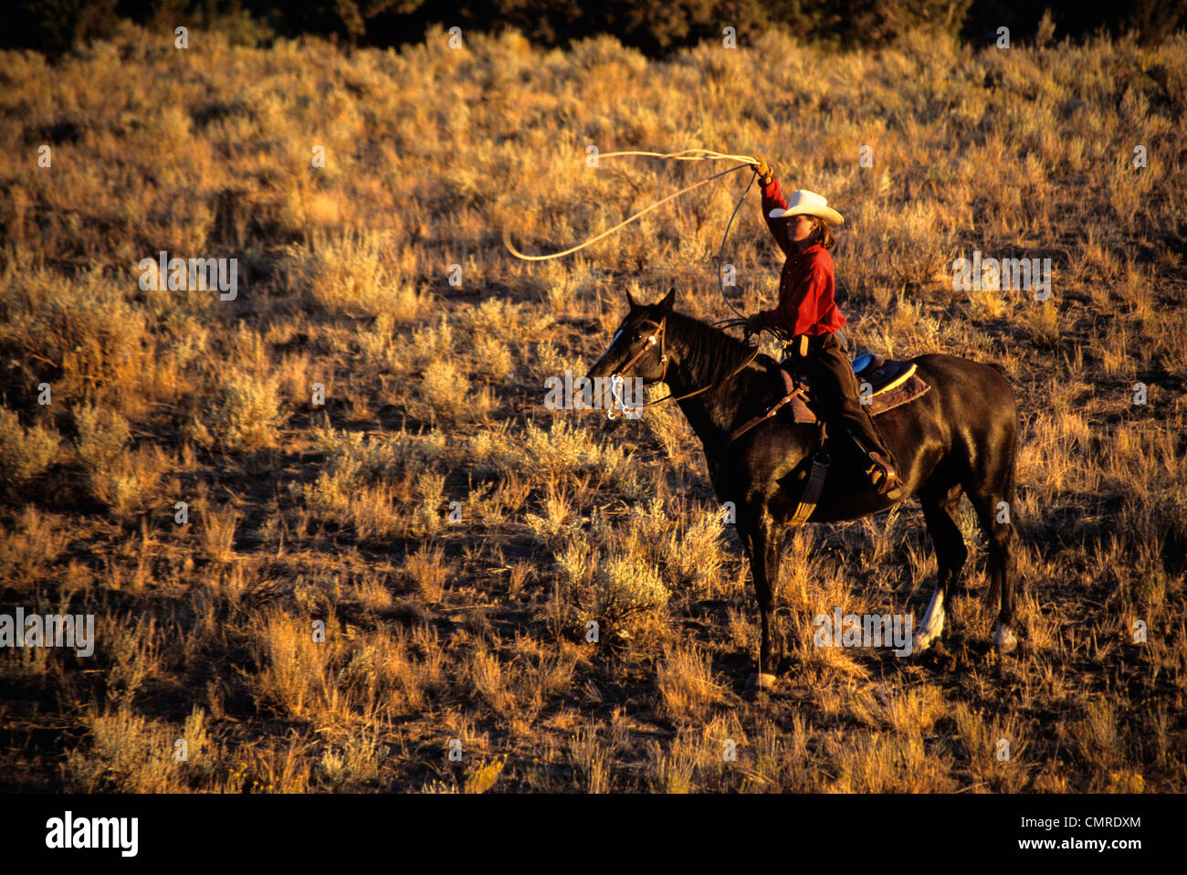 Working cowgirls hi-res stock photography and images - Alamy