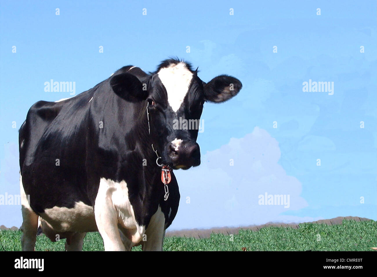 2000s agriculture hi-res stock photography and images - Alamy