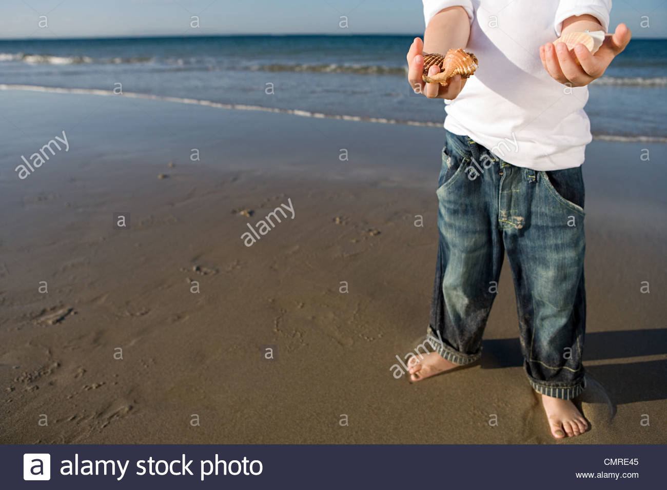 Seashells Boy Stock Photos & Seashells Boy Stock Images - Alamy
