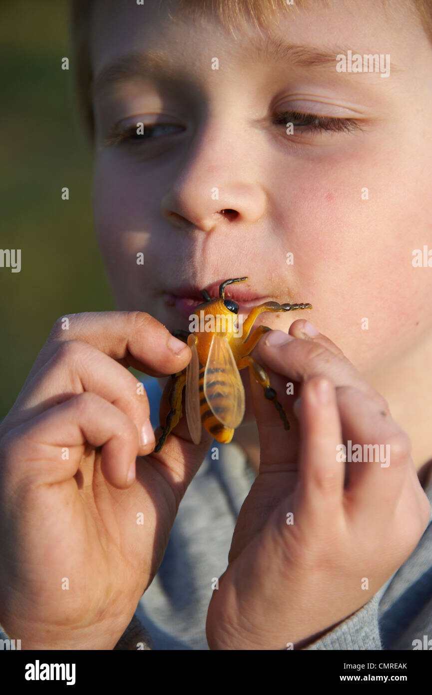 Young Child Boy Playing with Plastic Toy Wasp insect Stock Photo - Alamy