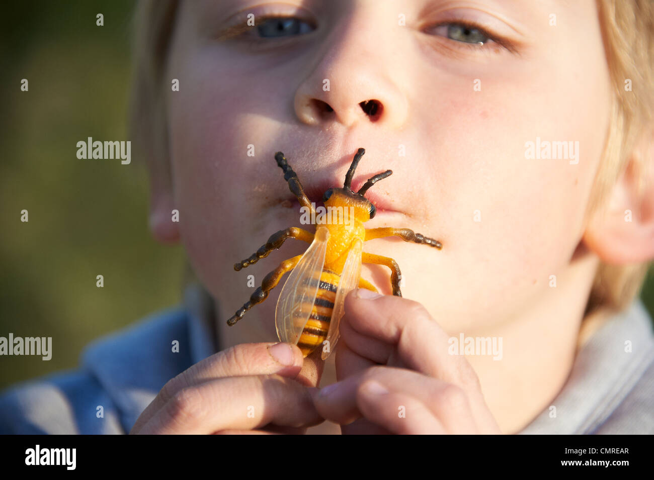 Young Child Boy Playing with Plastic Toy Wasp insect Stock Photo - Alamy