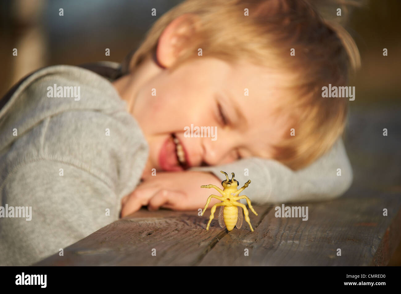 Young Child Boy Playing with Plastic Toy Wasp insect Stock Photo - Alamy