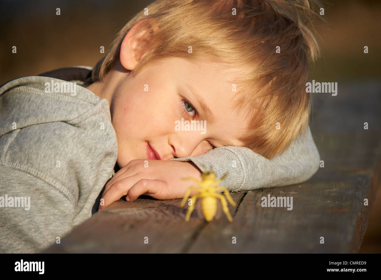 Young Child Boy Playing with Plastic Toy Wasp insect Stock Photo - Alamy