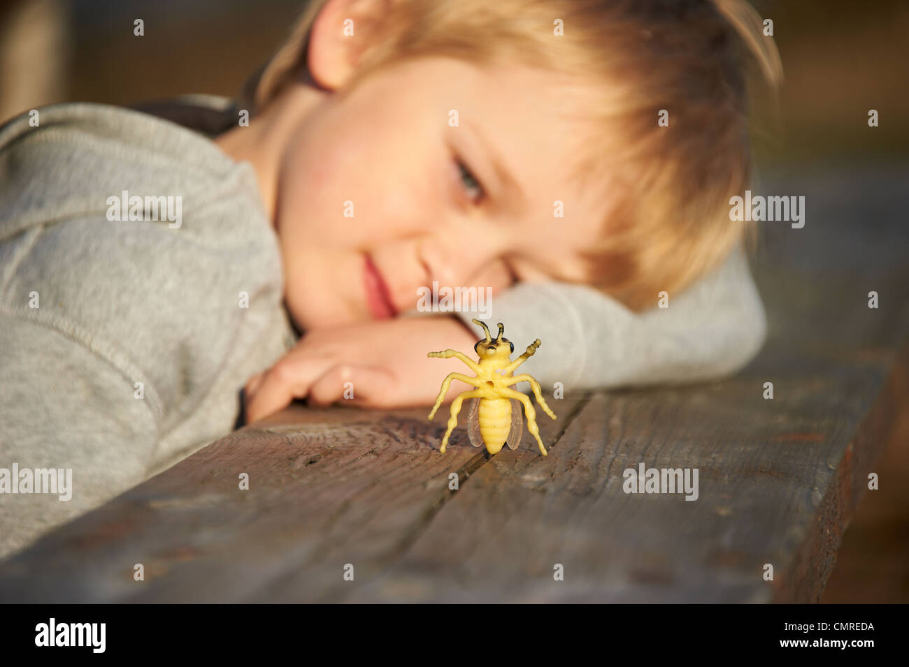 Young Child Boy Playing with Plastic Toy Wasp insect Stock Photo - Alamy