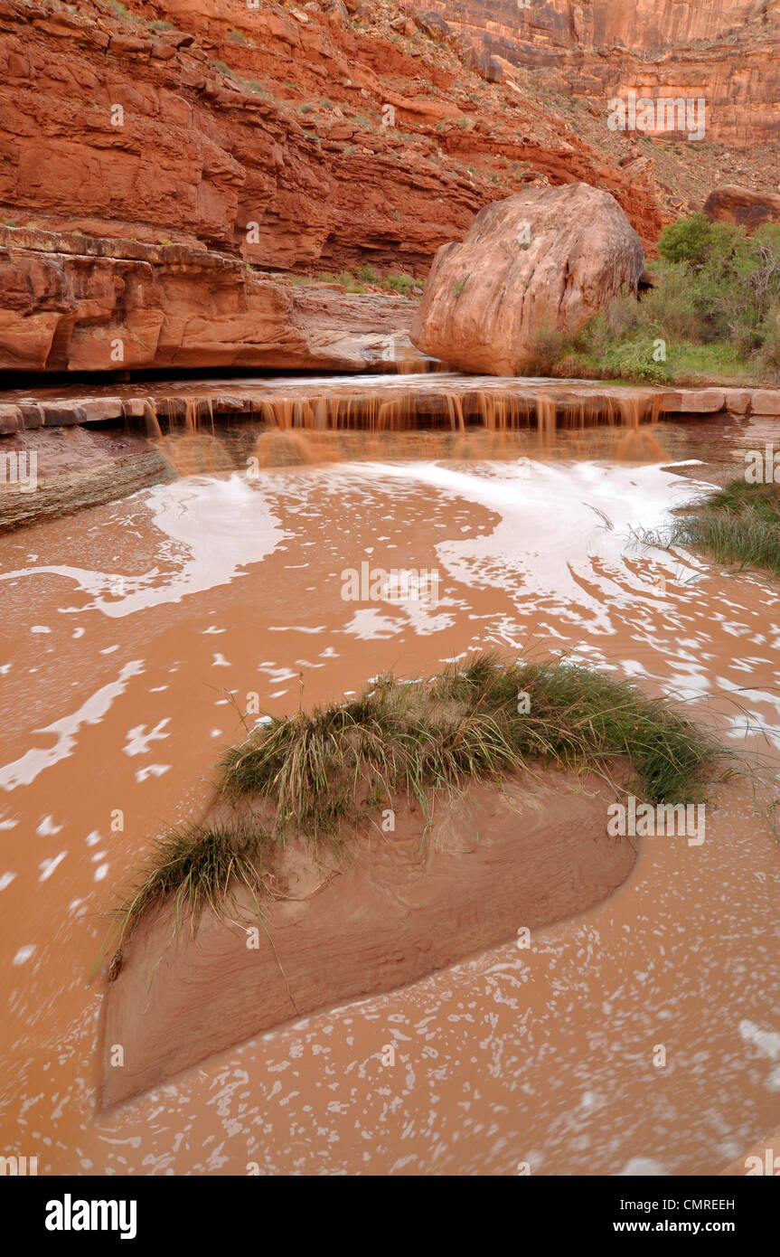Grand Gulch Stock Photos & Grand Gulch Stock Images - Alamy