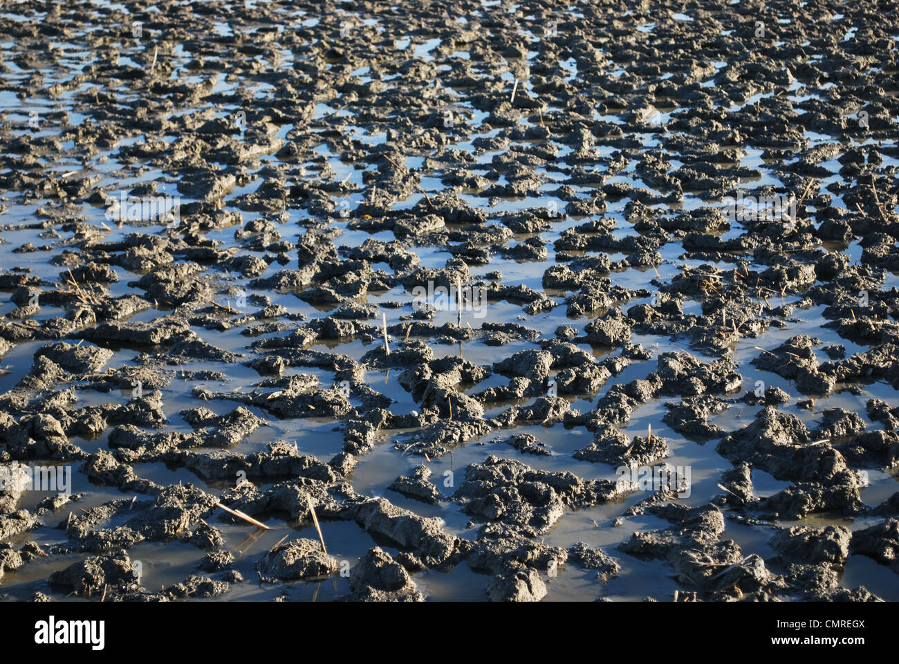 Gray wet mud as background and texture Stock Photo - Alamy