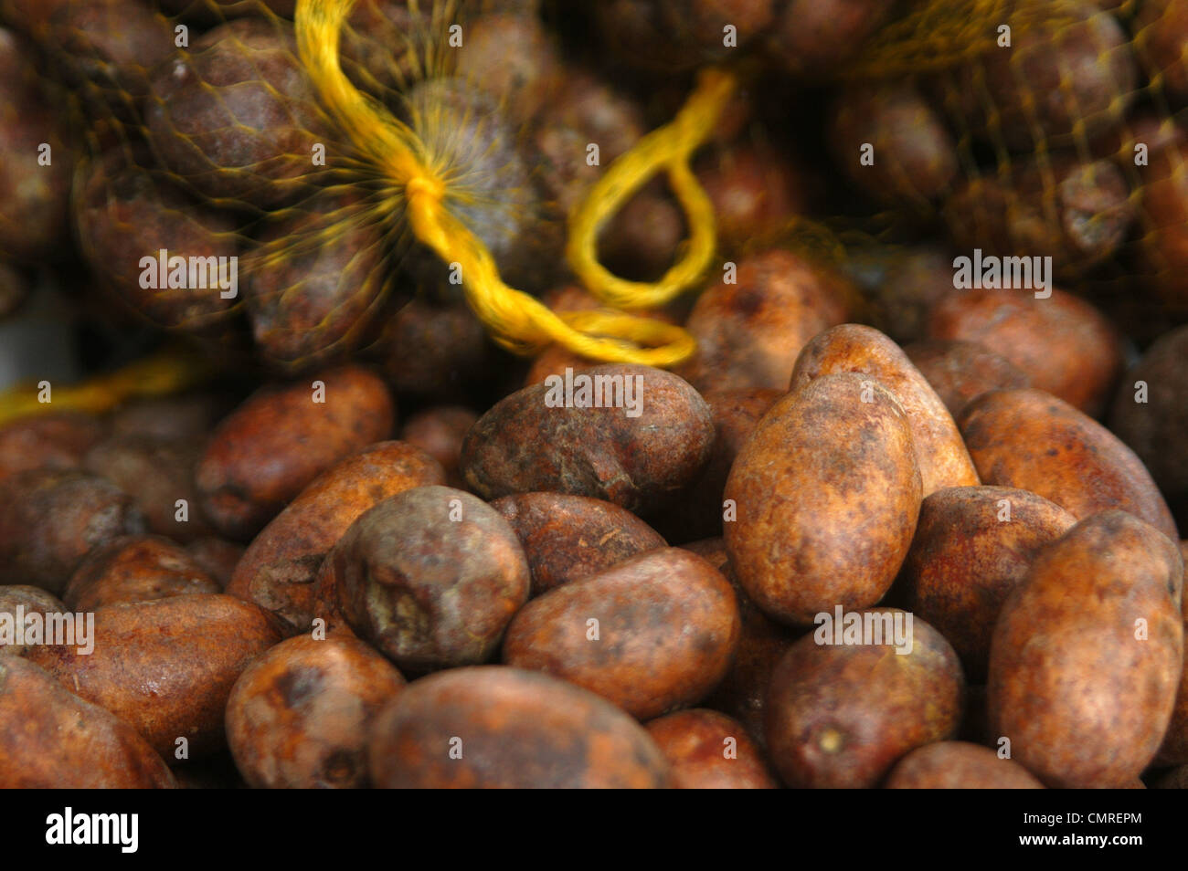 Pitomba, fruit of Amazônia, Brazil Stock Photo - Alamy