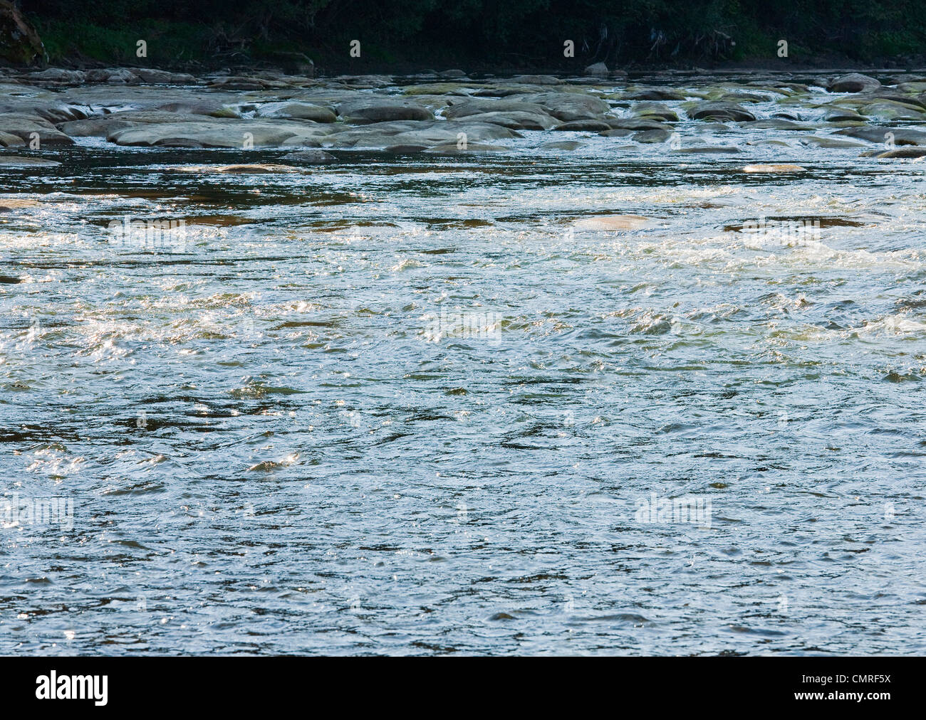 Water surface (closeup) for brook with stones by bank Stock Photo - Alamy