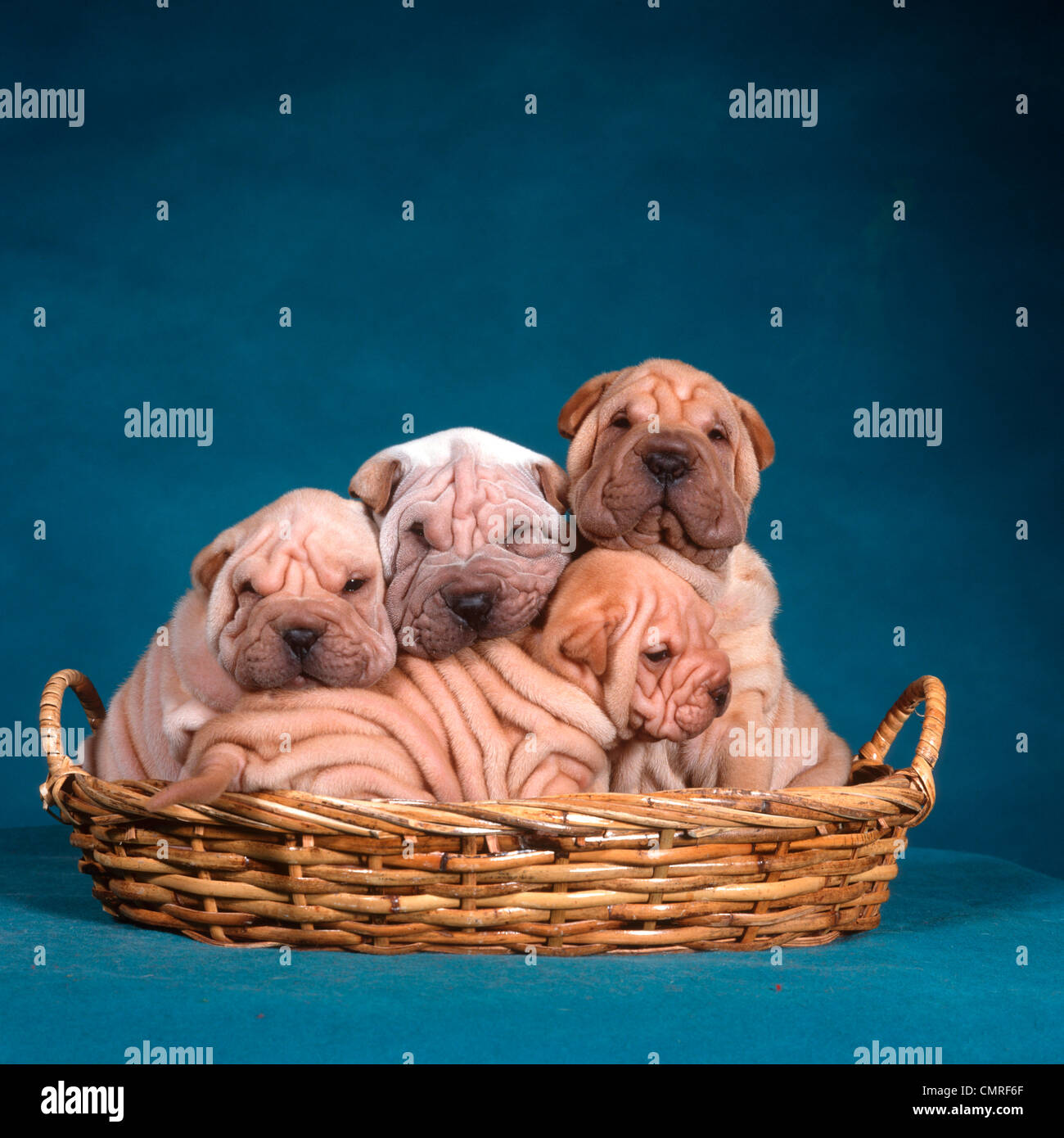 Group chinese babies hi-res stock photography and images - Alamy