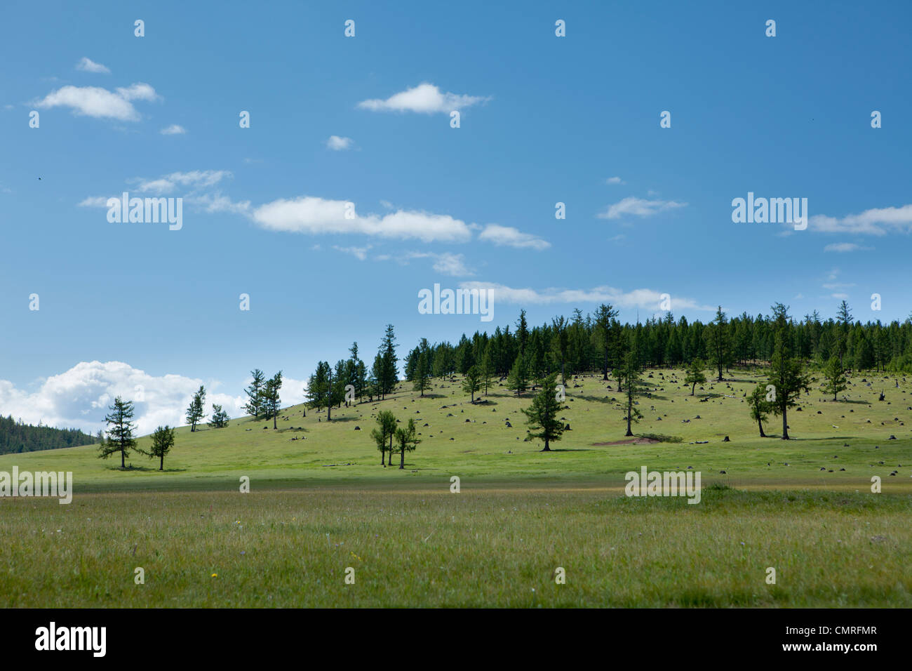 landscape of beautiful steppe in Mongolia Stock Photo - Alamy