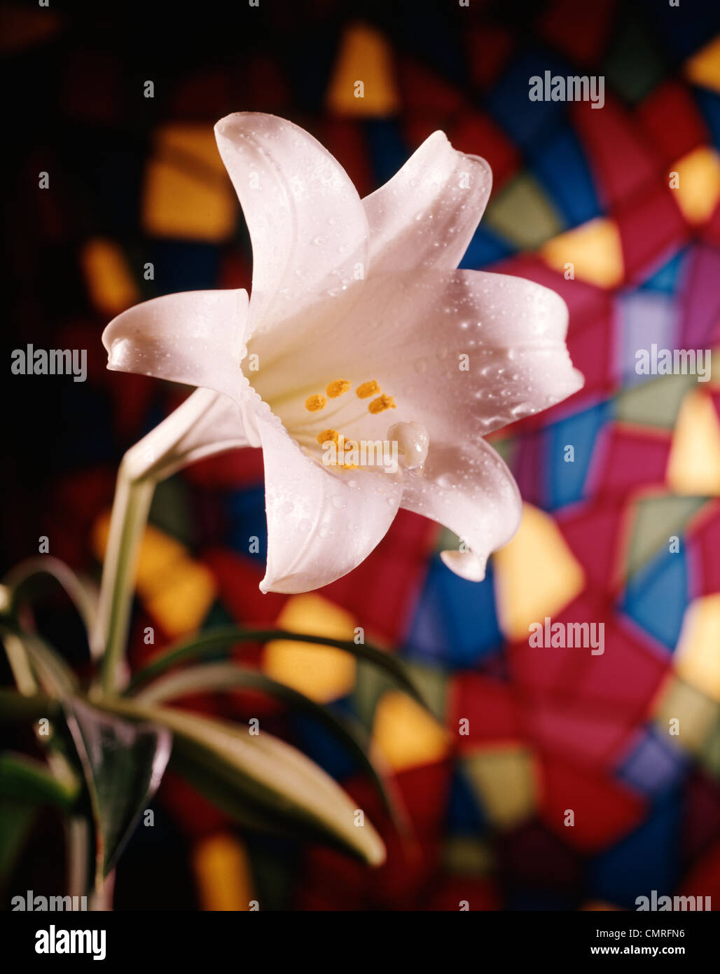 Easter Lily Stained Glass