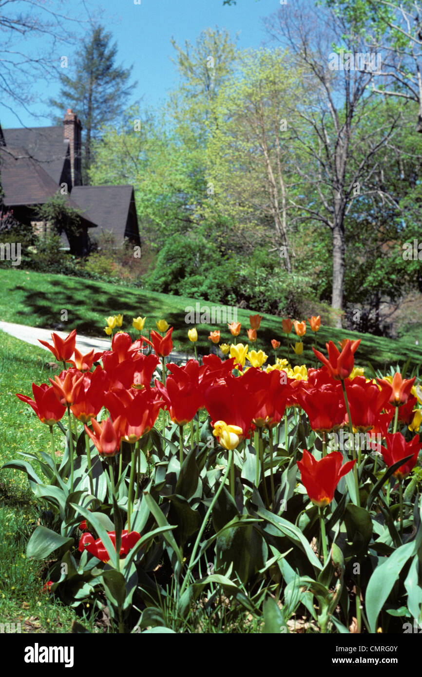 1970s house and garden hi-res stock photography and images - Alamy