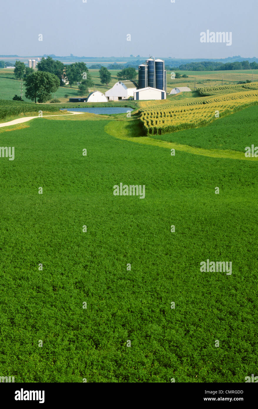 1980s FARM WITH POND SILOS ALFALFA AND CORN FIELDS WISCONSIN Stock ...