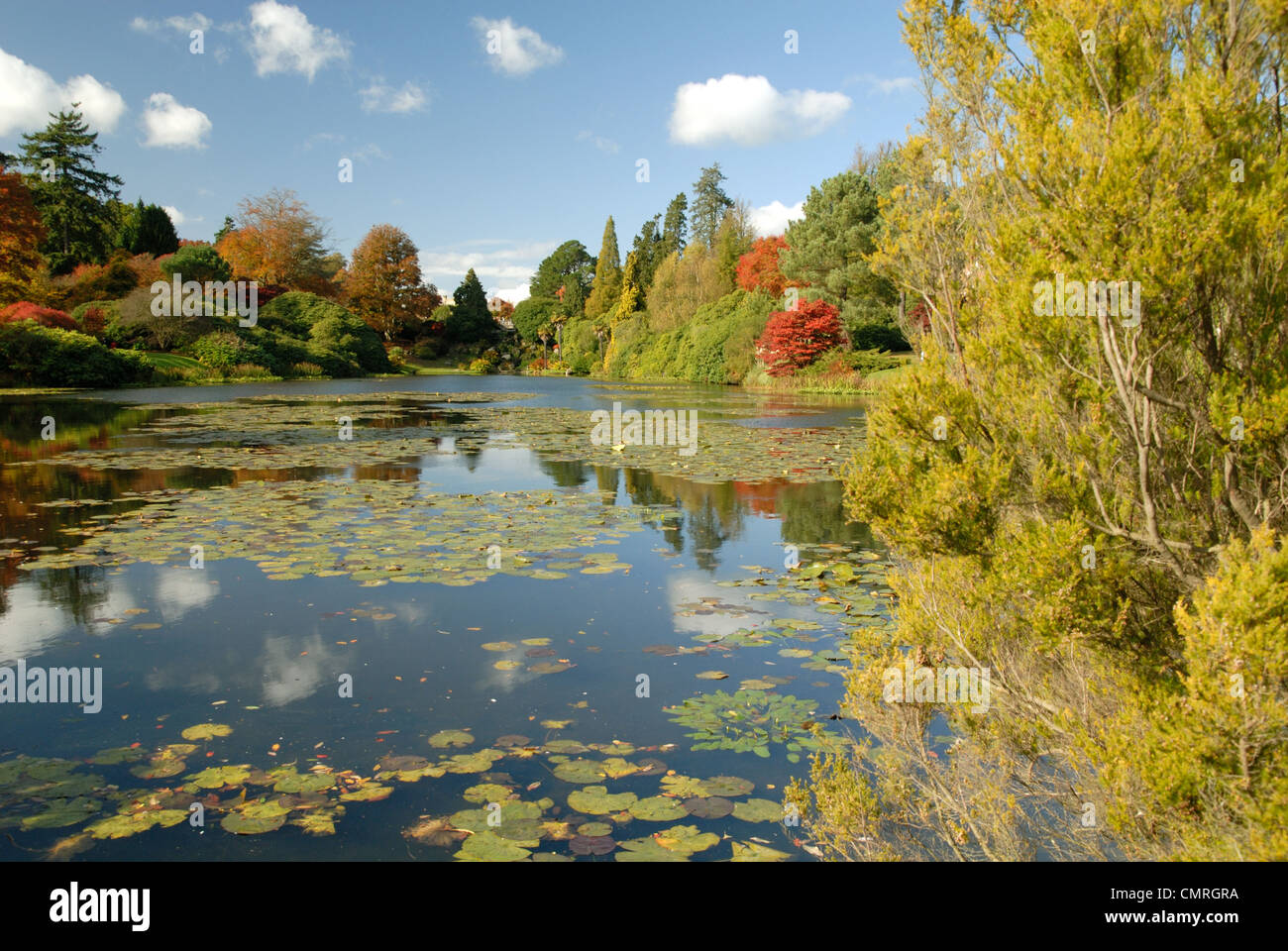 The lake at Sheffield Park Stock Photo - Alamy