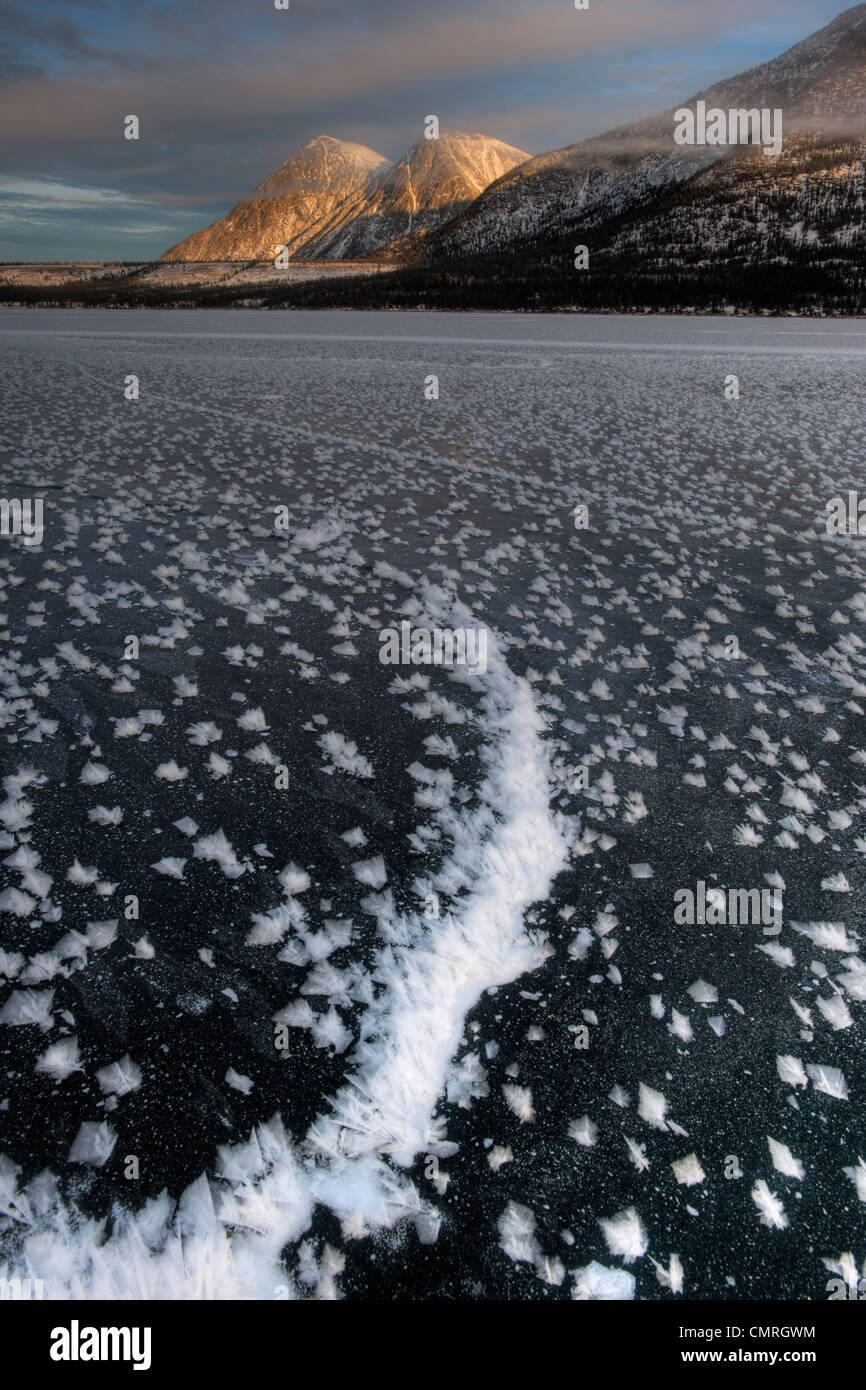 Kusawa lake territorial park hi-res stock photography and images - Alamy