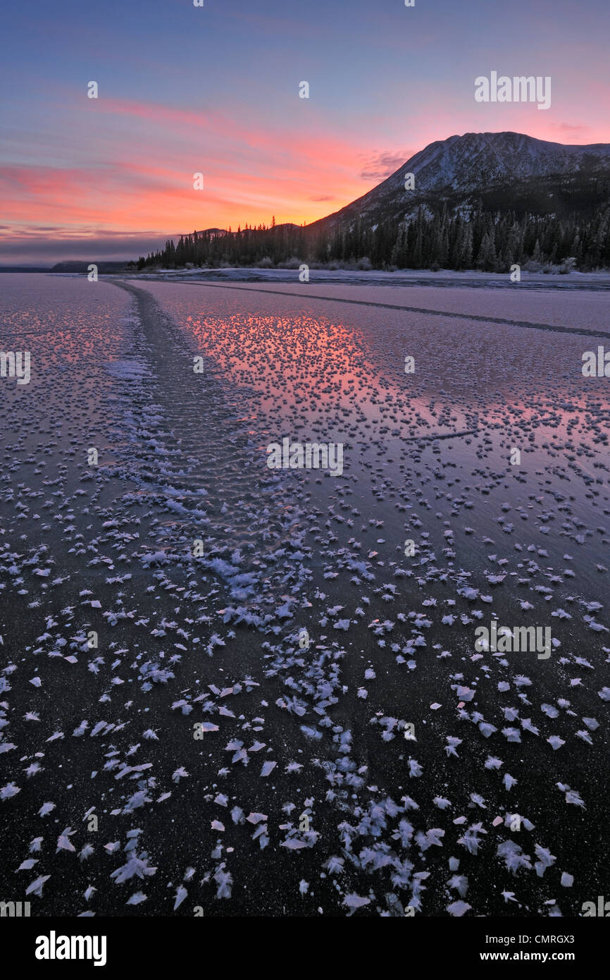 Kusawa lake territorial park hi-res stock photography and images - Alamy