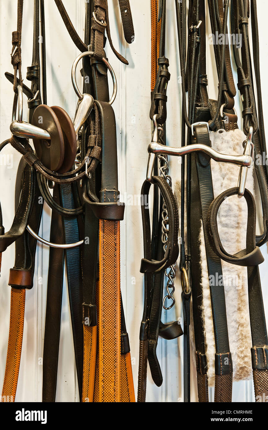 Riding gear in a stable tac room Stock Photo - Alamy