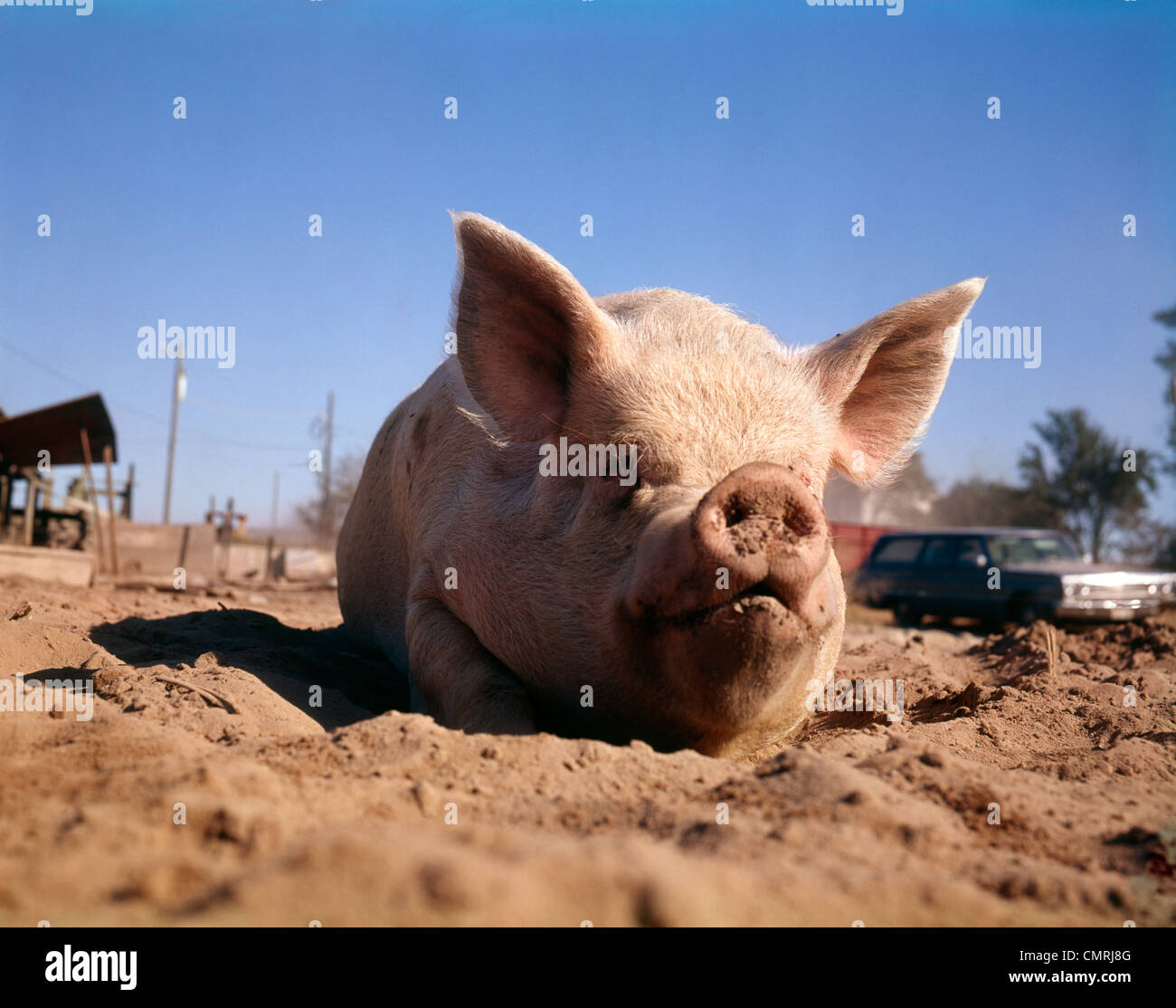 Pigpen outdoors hi-res stock photography and images - Alamy
