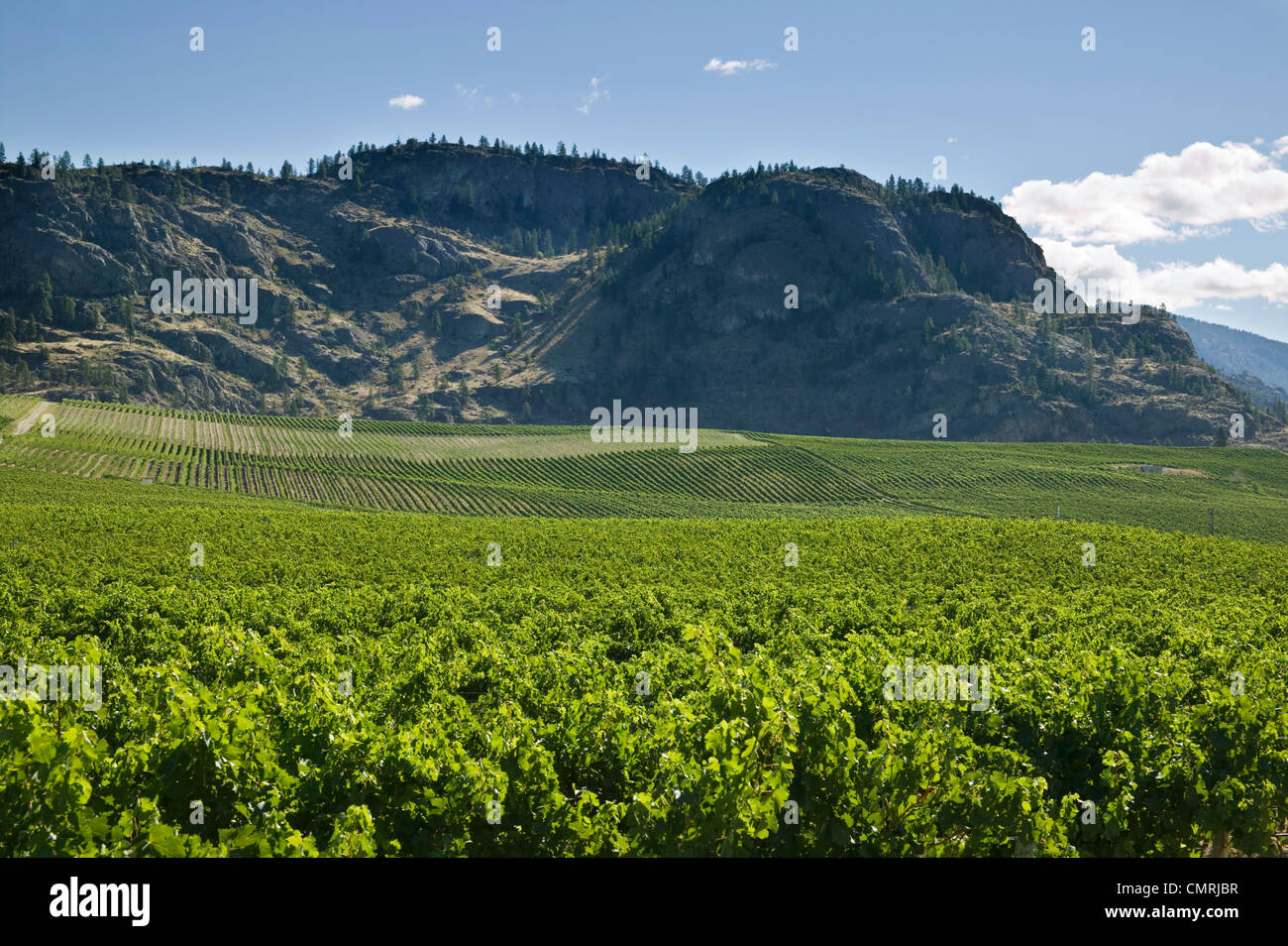 Okanagan Valley, Oliver, British Columbia, Canada Stock Photo - Alamy