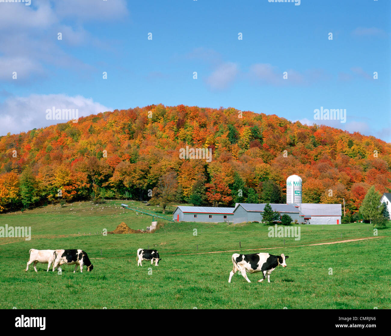 Quebec Dairy High Resolution Stock Photography and Images - Alamy