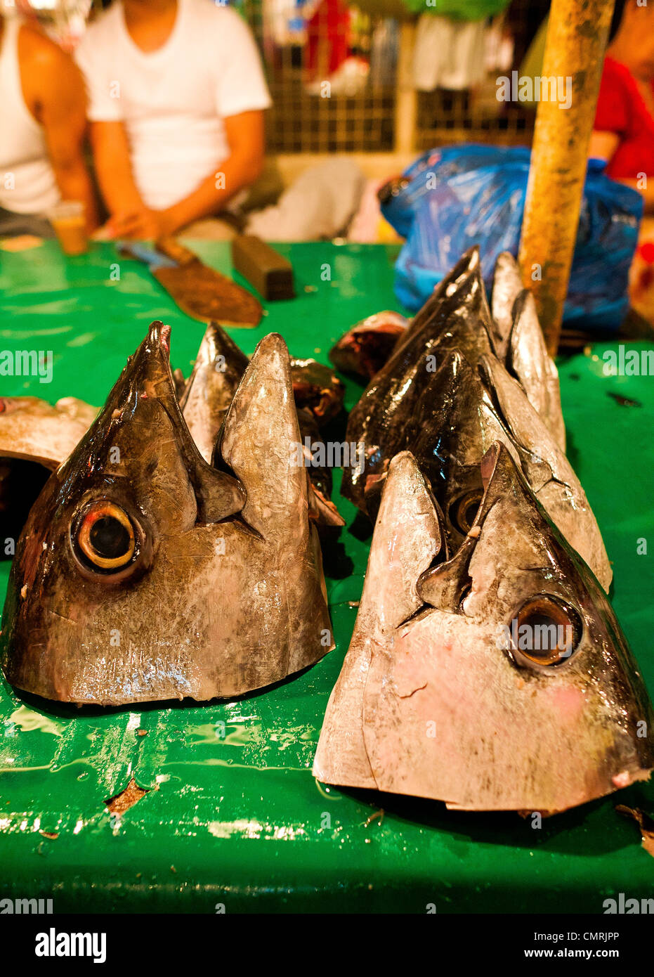 Philippine fish hi-res stock photography and images - Alamy