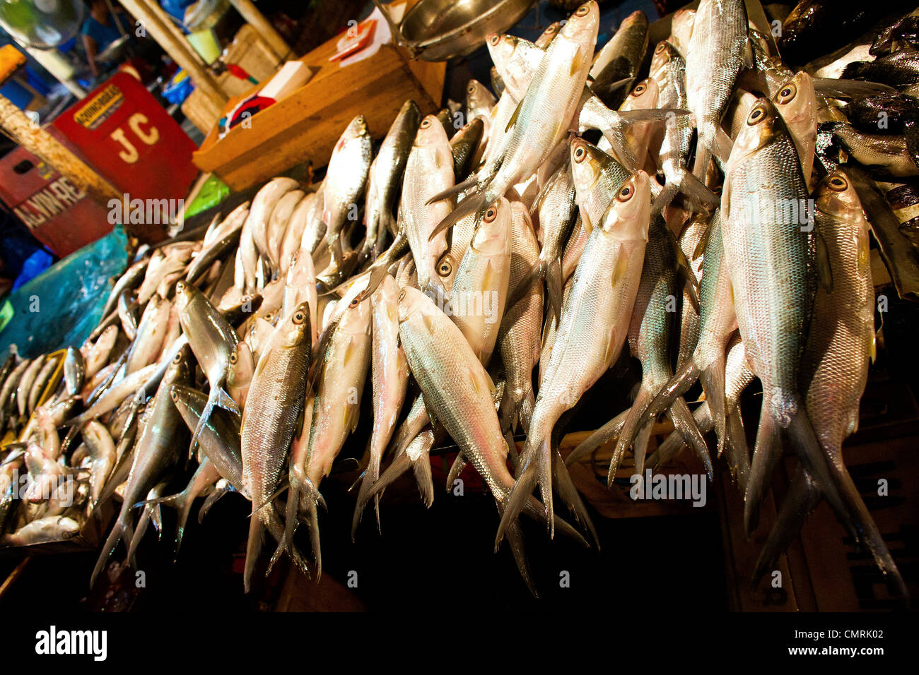 Bangus philippines hi-res stock photography and images - Alamy