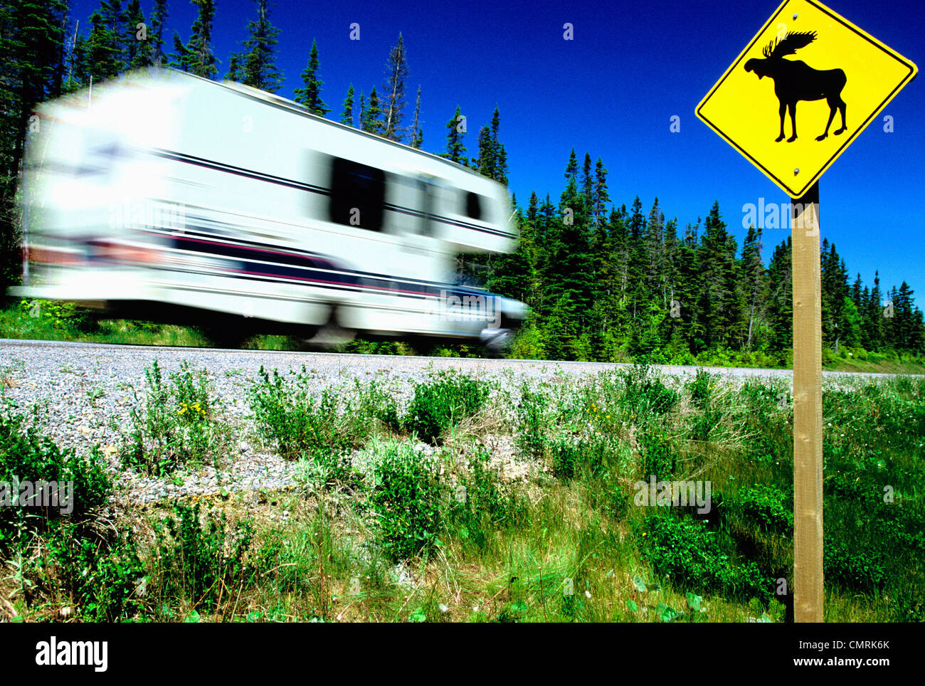 Newfoundland Moose Road Sign Stock Photos & Newfoundland Moose Road ...