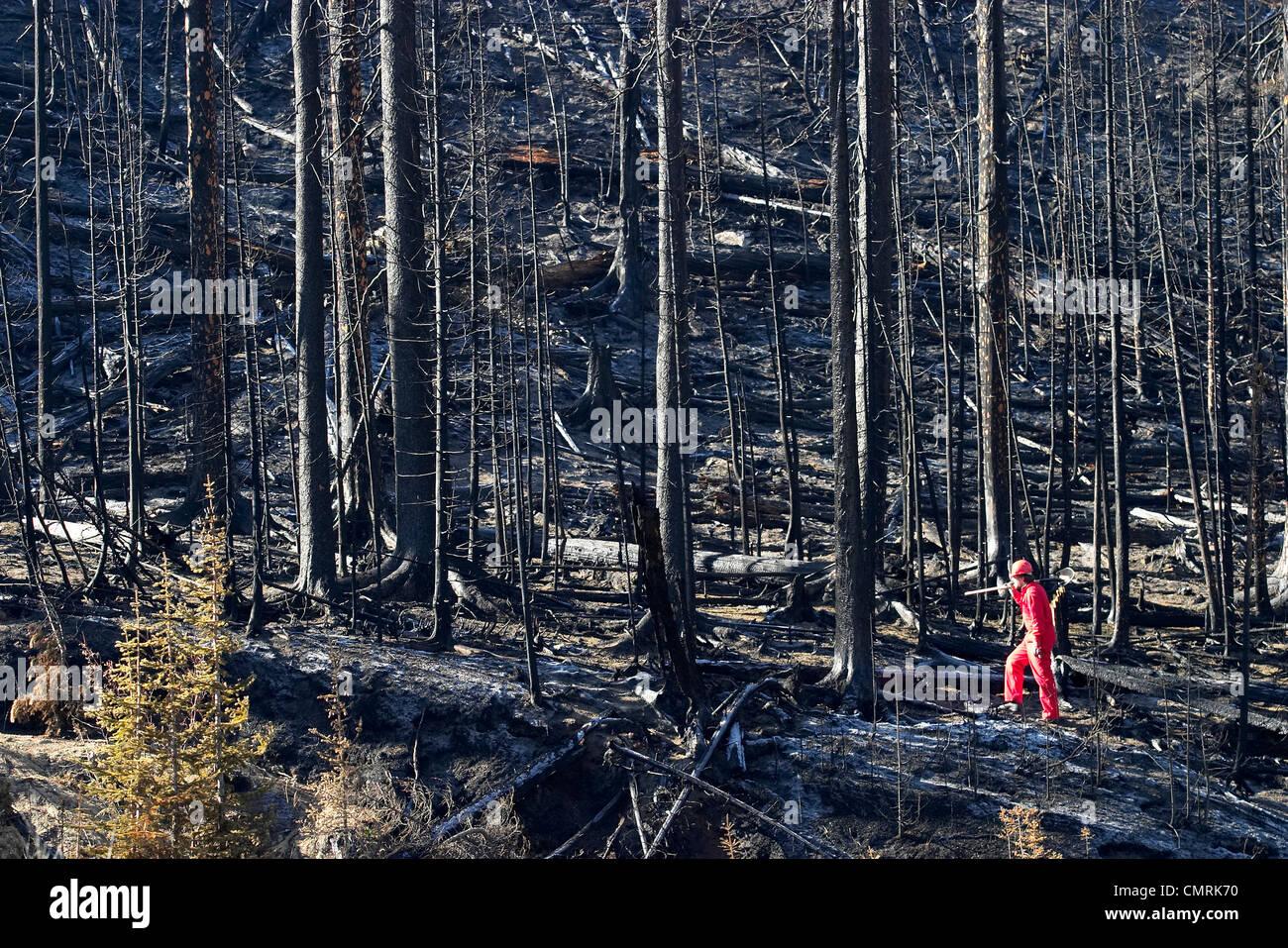 Man Walking Through Fire High Resolution Stock Photography and Images ...