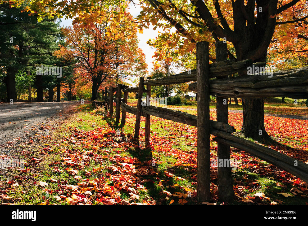 Fence and fall colours, Brigham, Eastern Townships, Quebec Stock Photo ...