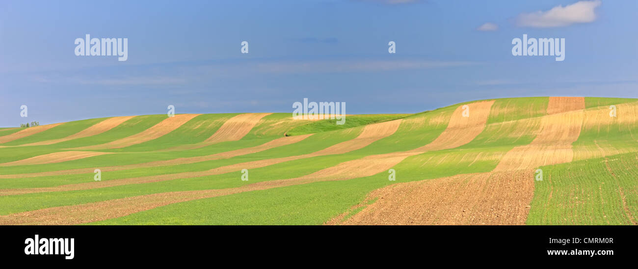 Panoramic picture of patterns in farmer's field, Saskatchewan Stock ...