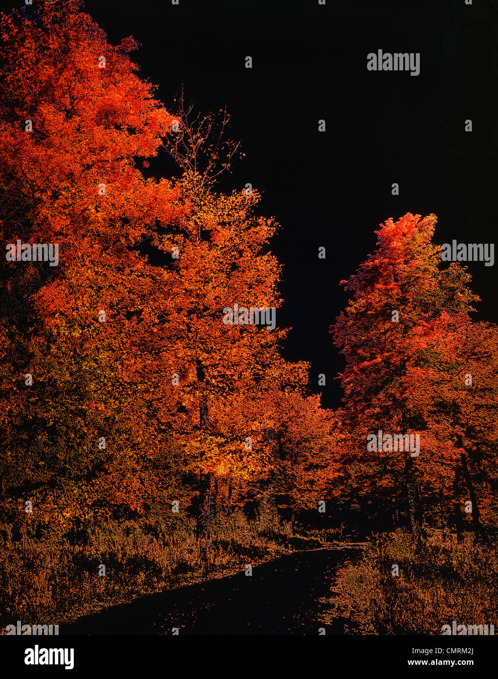 SPECIAL EFFECT POSTERIZED AUTUMN LANDSCAPE WITH PATH Stock Photo - Alamy