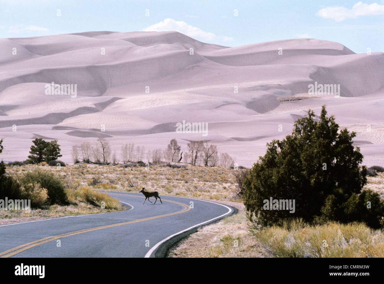 1977 1970s hi-res stock photography and images - Alamy