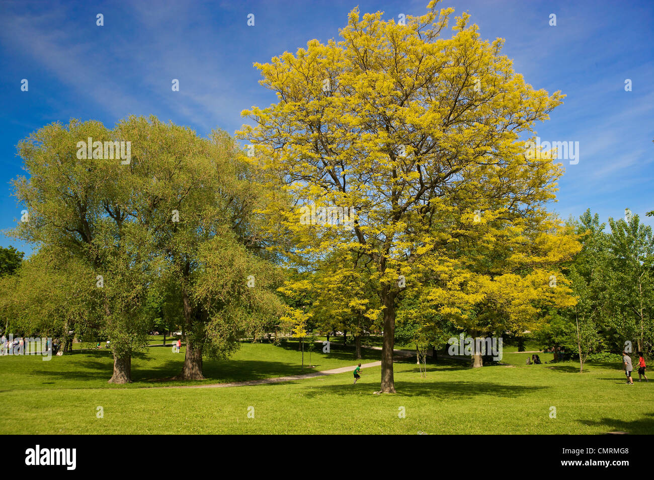 Toronto trinity bellwoods park hi-res stock photography and images - Alamy