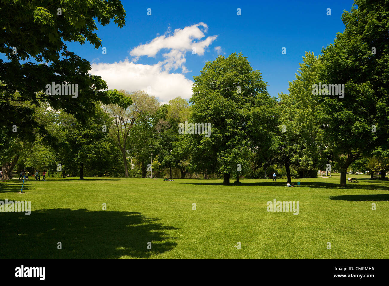 Bellwoods park hi-res stock photography and images - Alamy