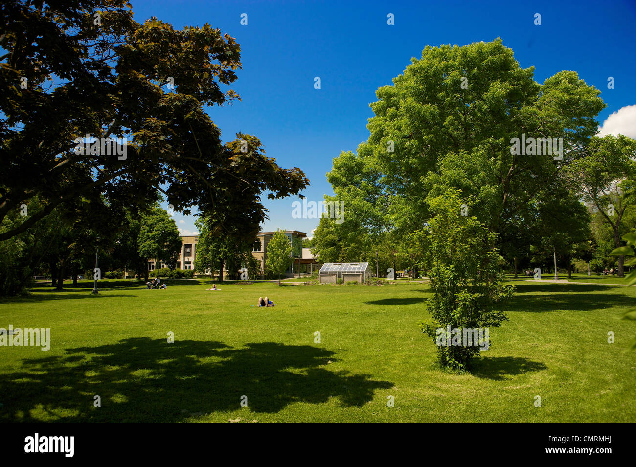 Toronto trinity bellwoods park hi-res stock photography and images - Alamy
