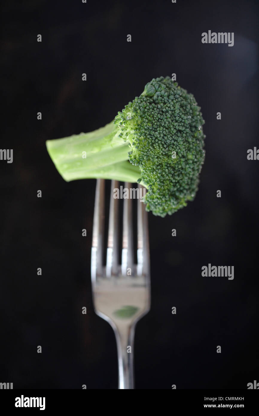 Broccoli floret on fork Stock Photo - Alamy