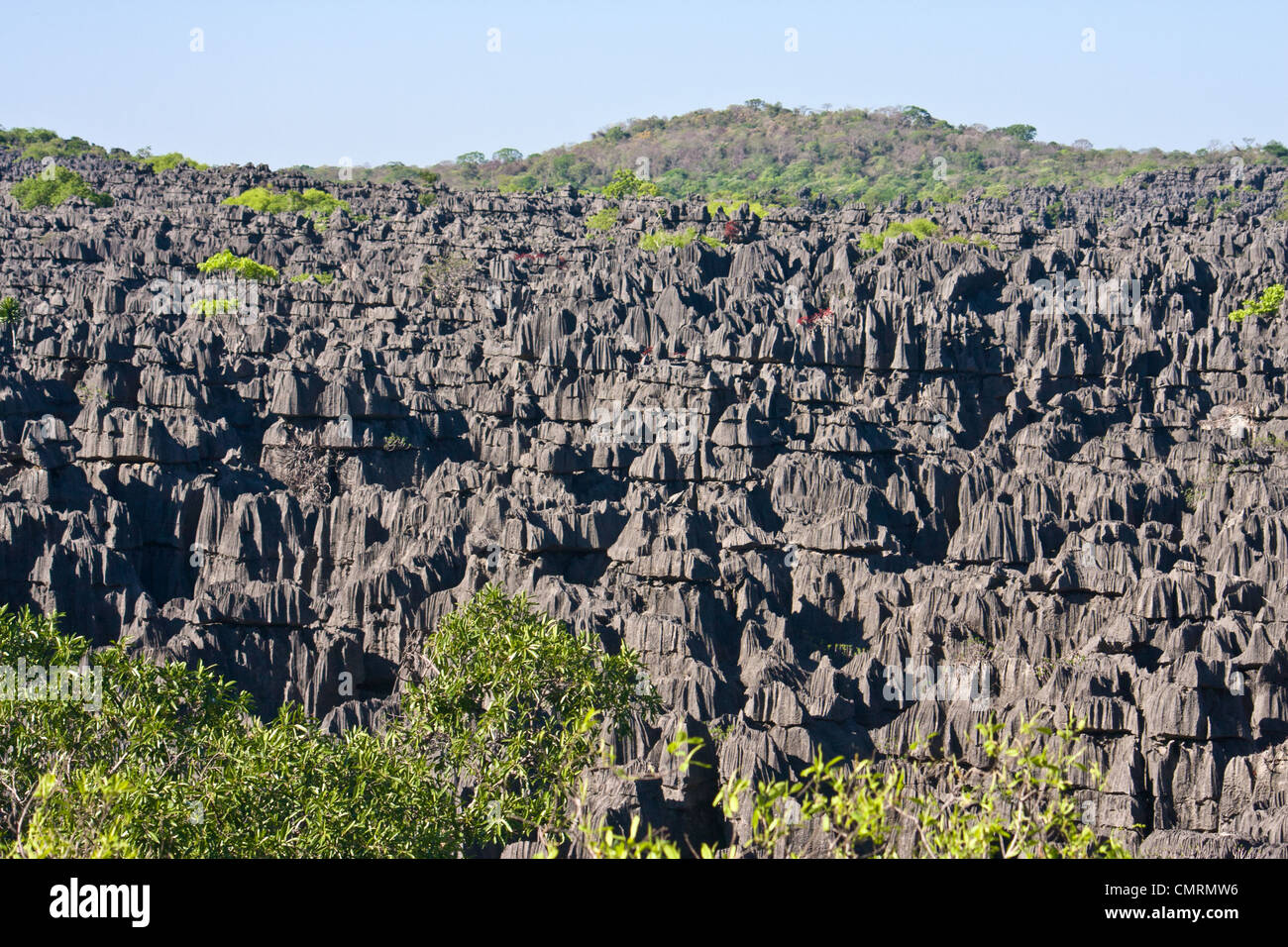 The Tsingy of Ankarana, northern Madagascar Stock Photo - Alamy