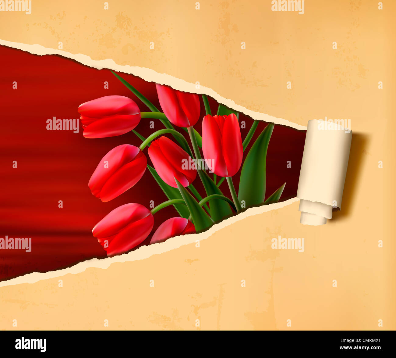 Flower background with old ripped paper Stock Photo - Alamy