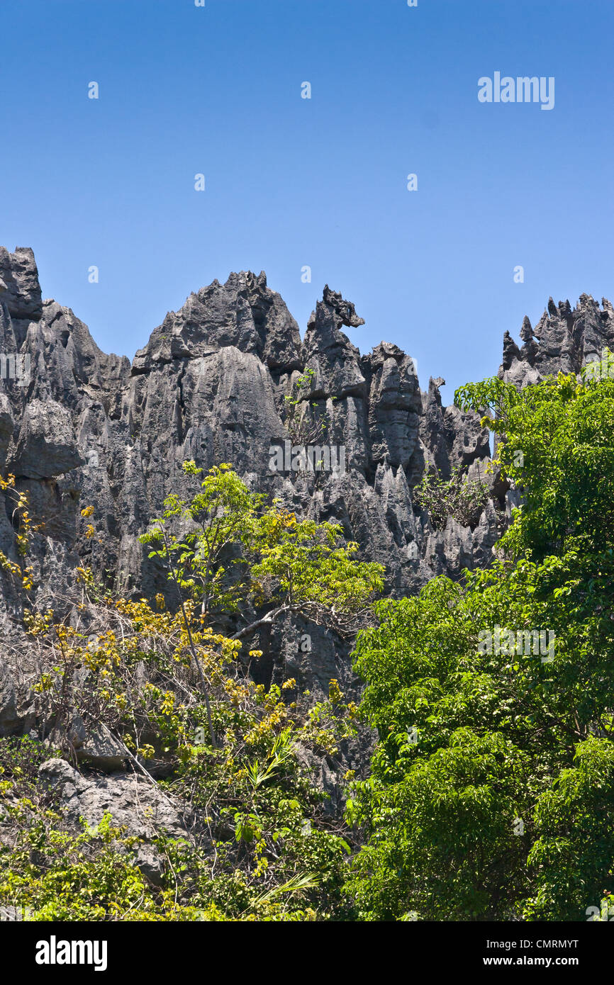 Ankarana Massif, northern Madagascar Stock Photo - Alamy