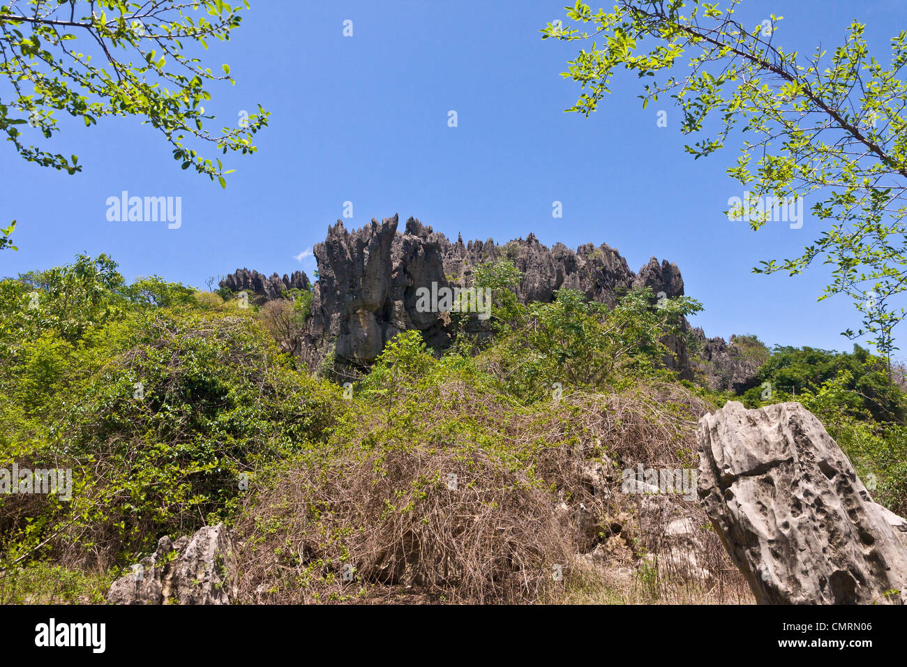 Ankarana Massif, northern Madagascar Stock Photo - Alamy