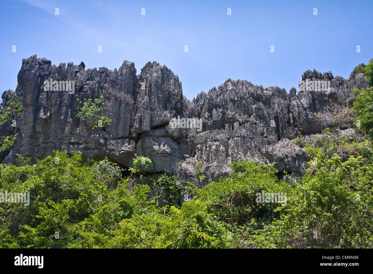 Ankarana Massif, northern Madagascar Stock Photo - Alamy