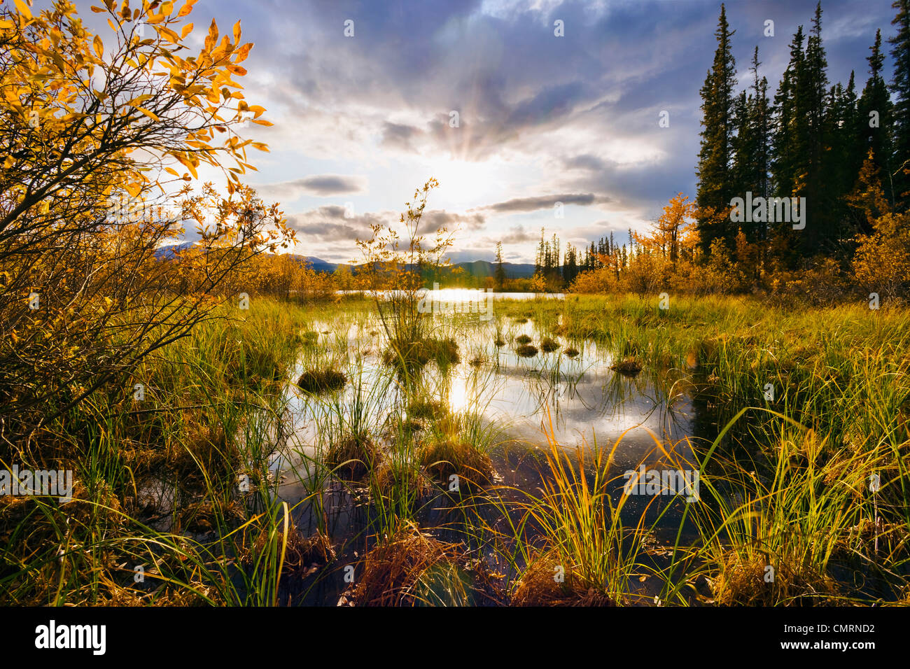 Yukon River and fall colours at sunset, Yukon Stock Photo - Alamy