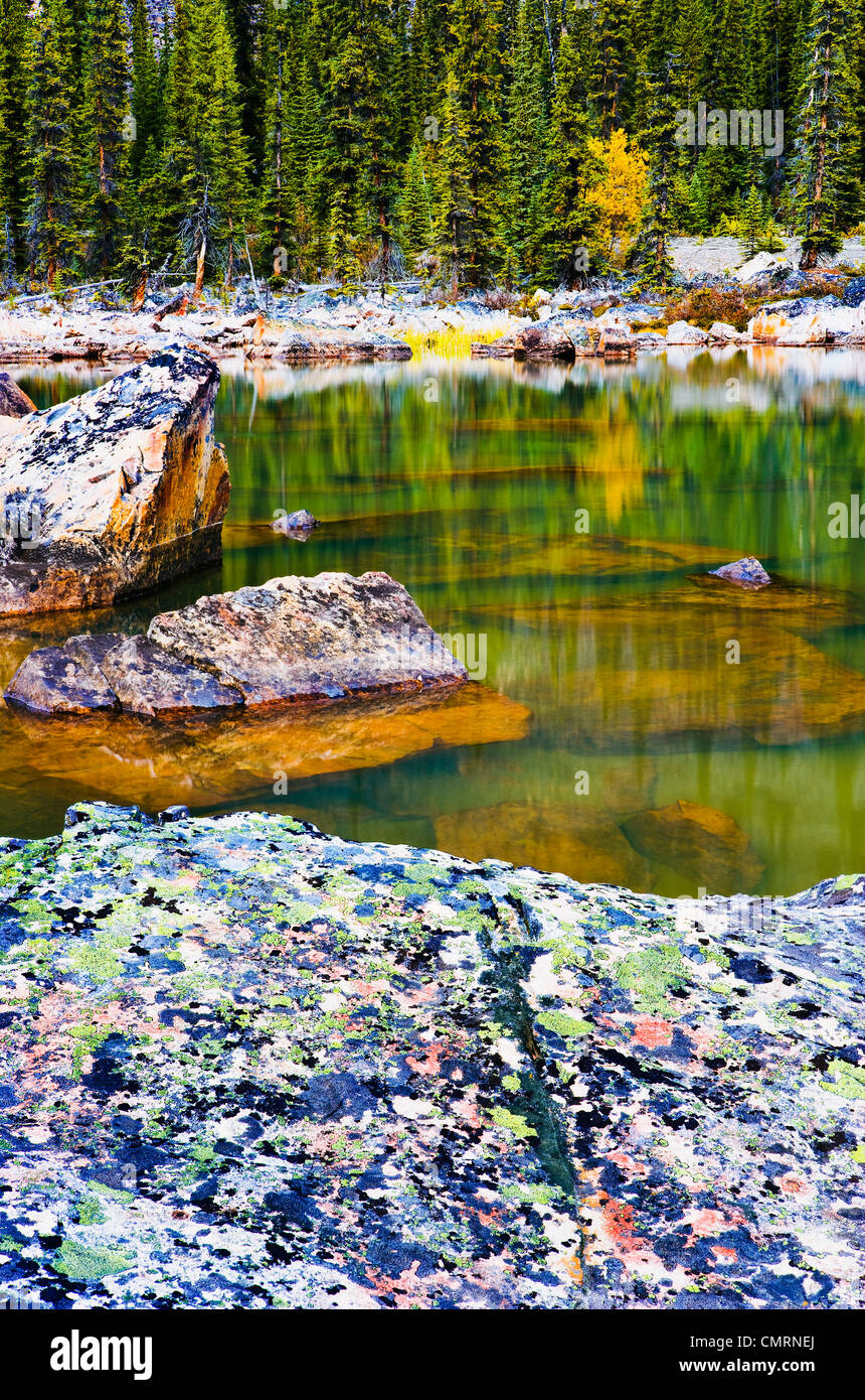 Quartzite Boulder Pile and Pond, Jasper National Park, Alberta Stock ...