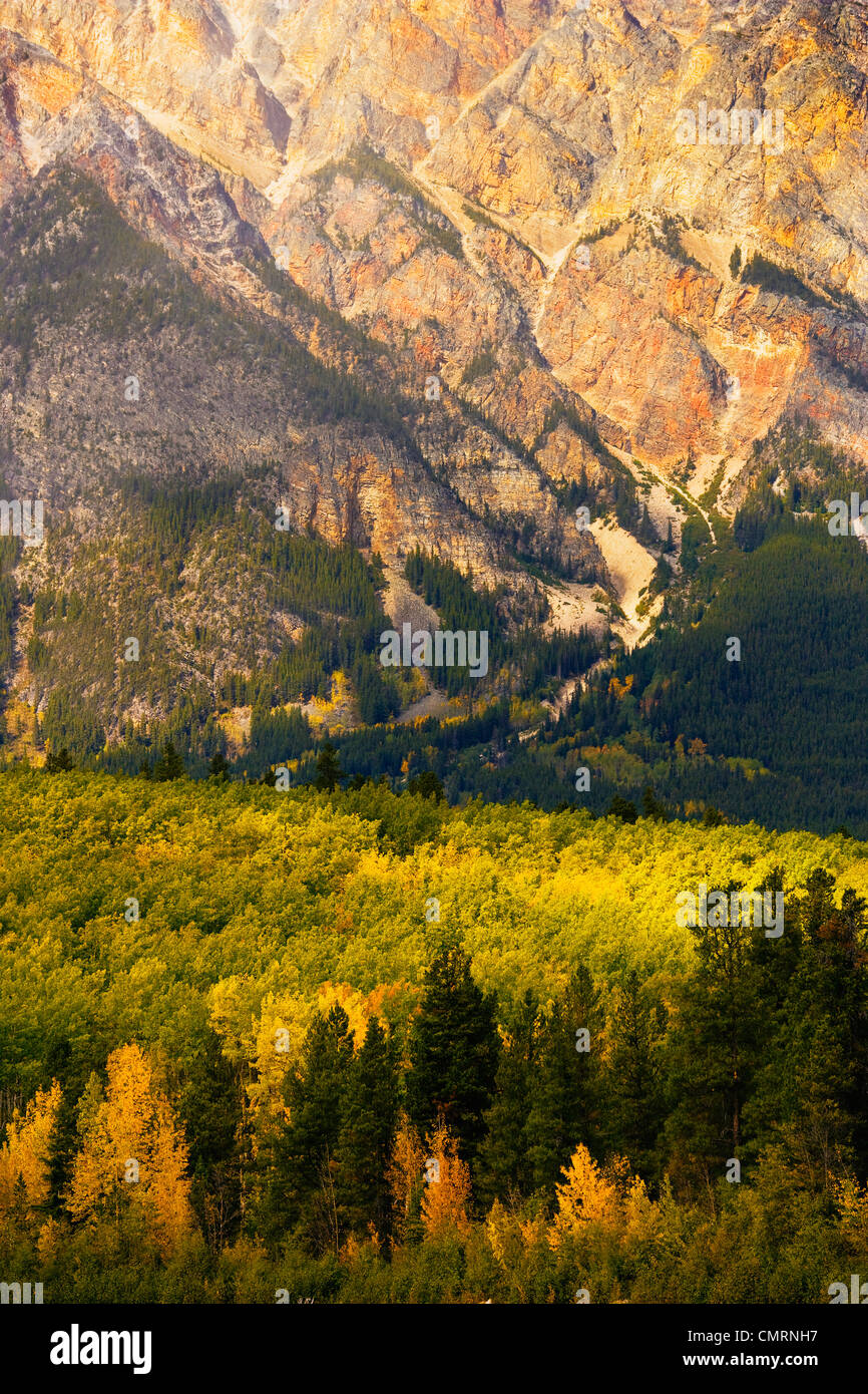 Pyramid Mountain and fall colours, Jasper National Park, Alberta Stock ...