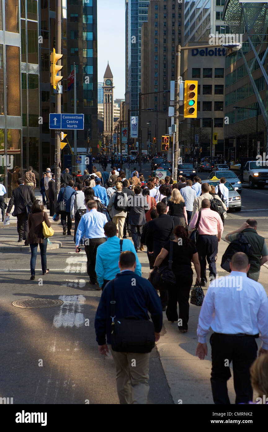 Central business district, Toronto, Ontario Stock Photo - Alamy