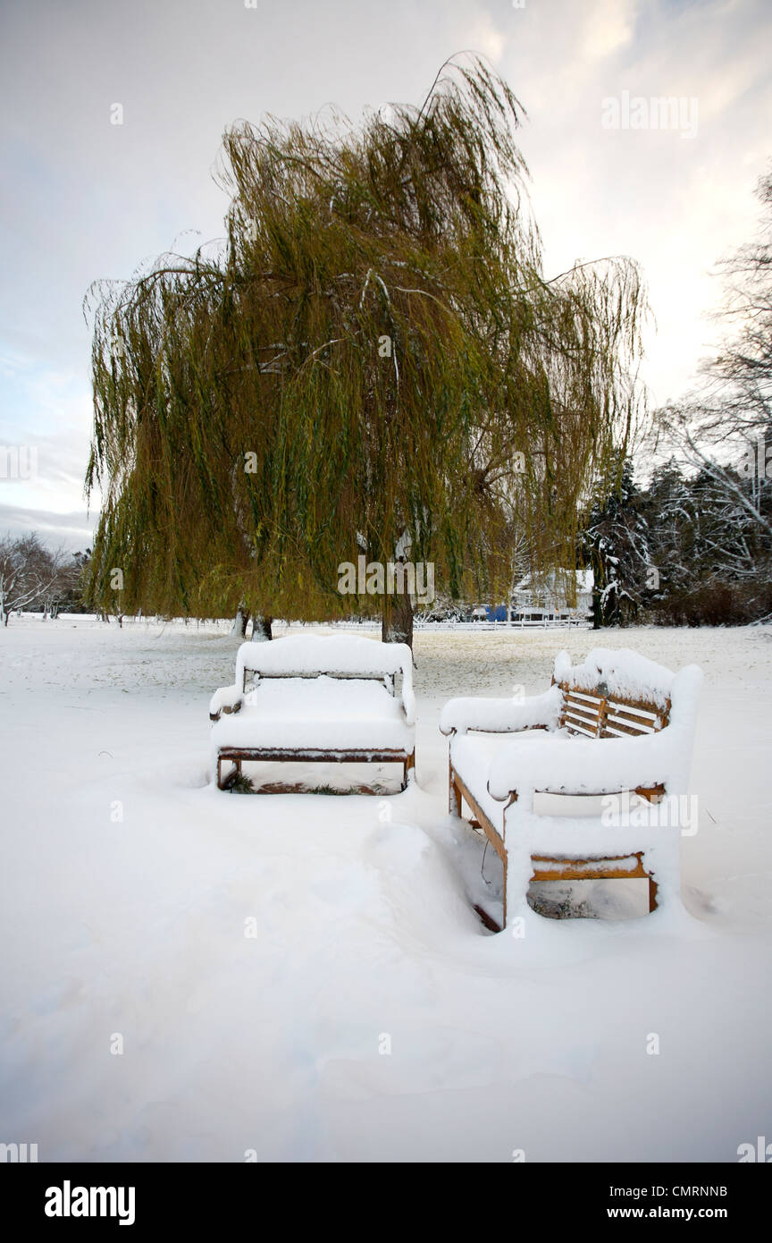 Winter in Victoria, Vancouver Island, British Columbia Stock Photo - Alamy