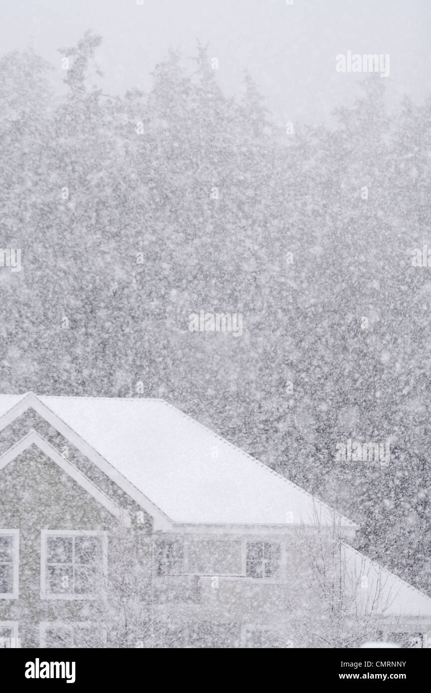 House in snowstorm, British Columbia Stock Photo - Alamy
