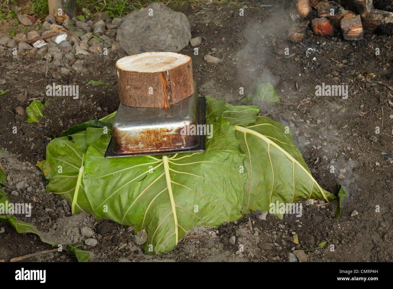Steam escaping from Lovo (traditional Fijian underground oven), Crusoe ...