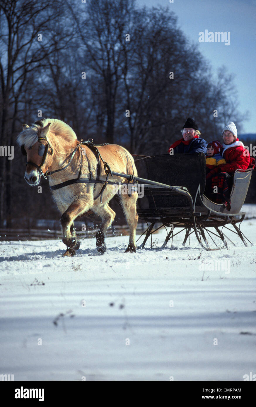 Transport transportation sleigh drawn hi-res stock photography and ...